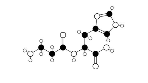 Structure Of Dipeptide