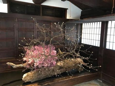 【うだつをいける～花のひなまつり～】アクセス・イベント情報 じゃらんnet