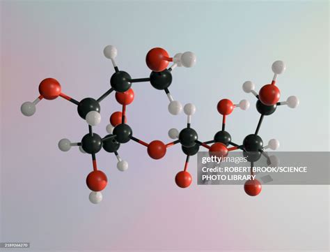 Sucrose Molecule Illustration High Res Vector Graphic Getty Images
