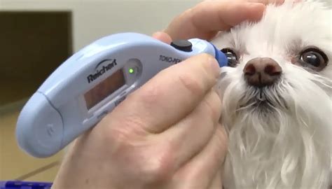 Tono Pen Avia Vet Dan Scott And Associates