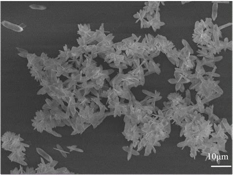 Method For Rapidly Preparing Snowflake Cerium Molybdate Through Microwave Radiation Eureka