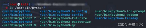 Kali切换python版本 Csdn博客