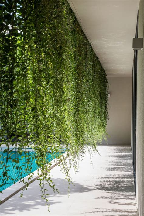 An Indoor Swimming Pool Is Surrounded By Green Plants And Hanging From