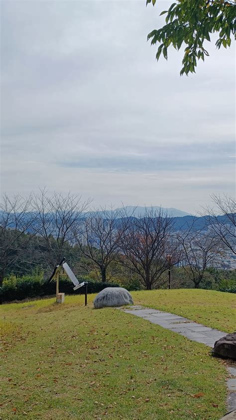 John 2025가을 장로들과 책임 형제들을 위한 국제 훈련 M2 애통하는 사람들과 온유한 사람들과 하나님의 아들들이라 불리는 화평하게 하는 사람들은 복이 있음 성경