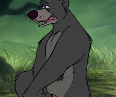 Image Baloo Fight Heroes Wiki
