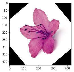 Intro To Opencv For Image Processing With Python Quassarian Viper