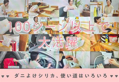 【家の虫対策】虫が出やすい家の特徴とは？ 家や家の周りの虫対策とおすすめ対策グッズをご紹介 ダニよけシリカのウッディラボ、読み物