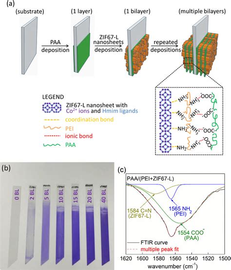 A Schematic Of The Paapei Zif67 L Assembly And Its Bonding