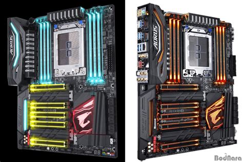 Ibik Aster Vs Reterafter