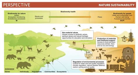 Towards A Policy Smart And Multidimensional Biodiversity Measure Unep