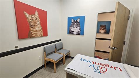 Urgentvet Cave Creek Vet Clinic Veterinarian In Cave Creek Az