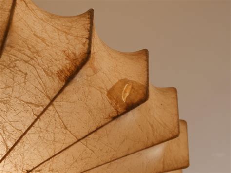 Shape Cocoon Pendant Light 1960 For Sale At Pamono