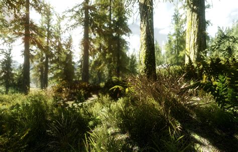 New ENB Skyrim Mod Shows Glimpses Of Next Gen Graphics