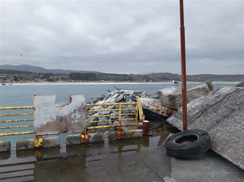 Dirección De Obras Portuarias Del Mop Realizará Conservación En Caleta