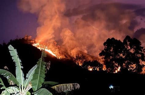Cajamarca En Alerta Existen Condiciones Que Favorecen Propagación De