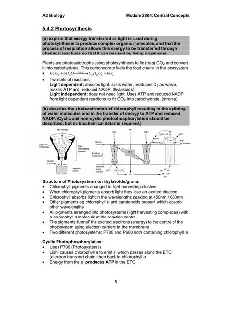 Pdf 542 Photosynthesis Dokumen Tips
