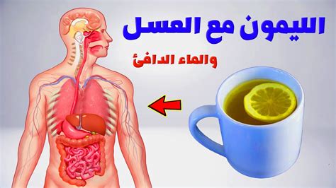 فوائد الليمون مع العسل والماء الدافئ Youtube