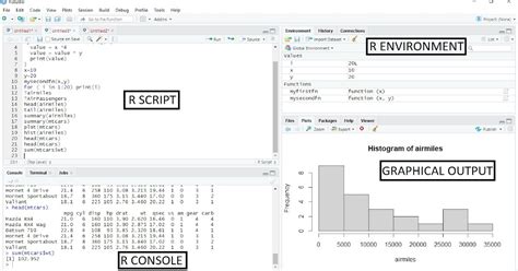 What Are The Basics Of R Programming