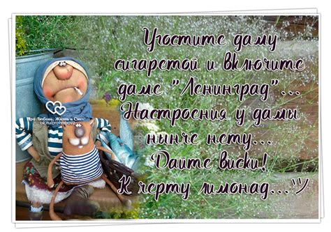 Смешные Фразы Про Фото – Telegraph