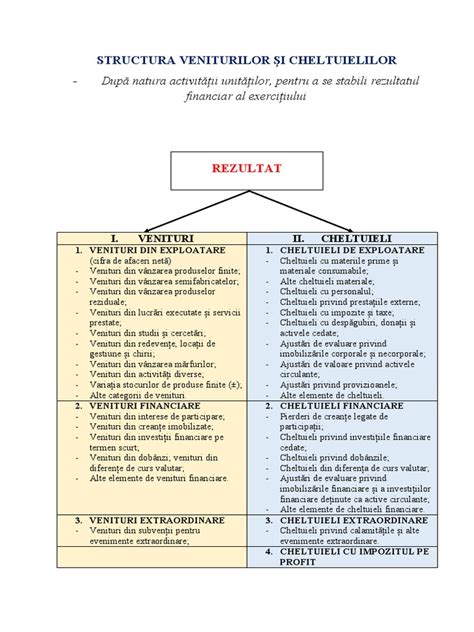 04 Venituri Si Cheltuieli Pdf
