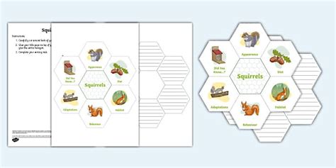 Squirrels Hexagon Writing Template Twinkl Professor Feito