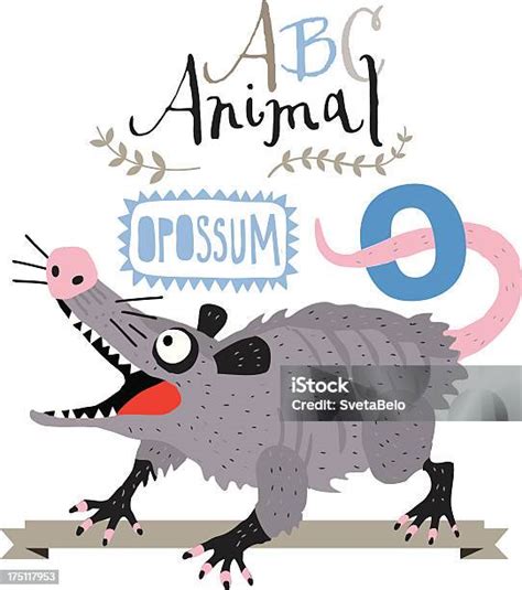Abc 주머니쥐 주머니쥐에 대한 스톡 벡터 아트 및 기타 이미지 주머니쥐 재미 개체 그룹 Istock