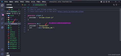 号称下一代nodejs，typescript以及go的orm的prisma 浅谈如何在nestjs中使用nestjs Prisma Csdn博客
