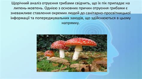 Отруйні гриби презентация онлайн