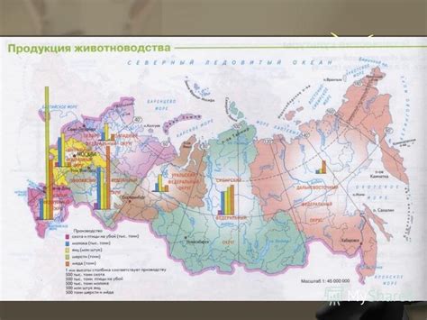 Презентация на тему ЖИВОТНОВОДСТВО На конкретных примерах