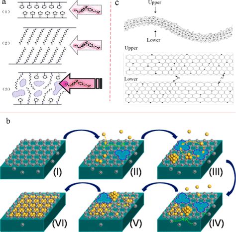 A Schematic Illustration Of Interlayer Spacing Of α Zrp Download