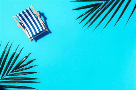 하드 그림자 갑판 의자 파란색 종이 배경에 손바닥 잎 플랫 레이및 복사 공간 여름 여행 휴가 개념입니다 최소 구성 갑판 의자에 대한 스톡 사진 및 기타 이미지 Istock