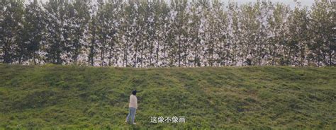 你好李焕英主题曲萱草花MV发布