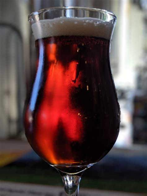 Coding Beer I Always Wondered If This Perspective… By Daniel A