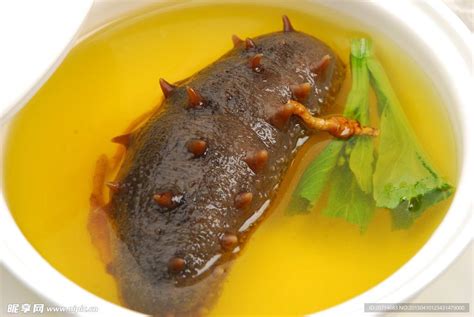药膳炖辽参摄影图传统美食餐饮美食摄影图库昵图网