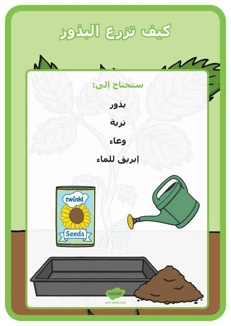 نشاط زراعة البذور لتعليم الأطفال