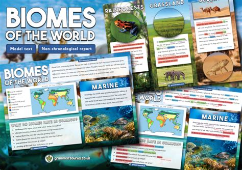 Year 4 Model Text Non Chronological Report Biomes Of The World Gbsct P4 3rd Grade And 3rd