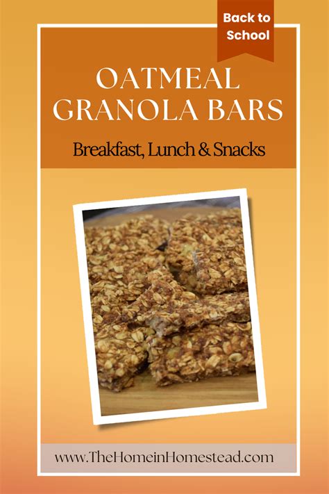 Homemade Oatmeal Granola Bars No Egg Recipe The Home In Homestead