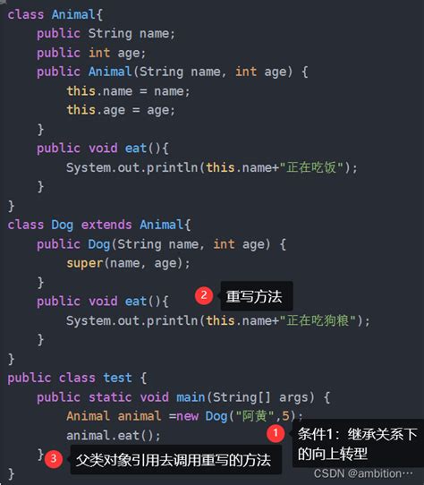 Java多态：概念、条件与应用实例 Csdn博客