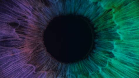 How Do You Check Pupils For Concussion Complete Concussions