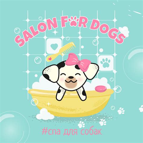 Instagram Carousel For Grooming Salon On Behance