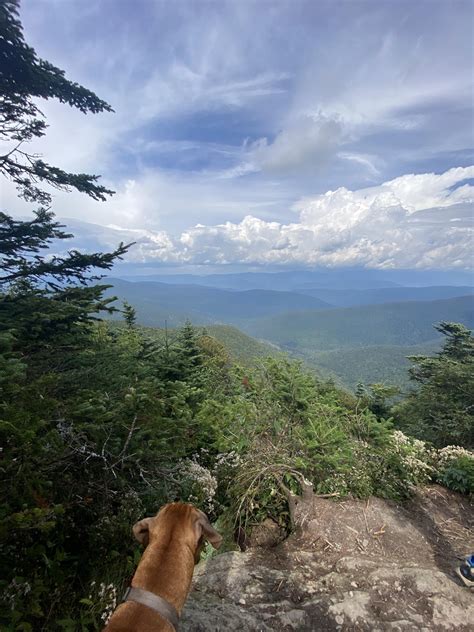 Hiked Up Slide Mountain The Highest Peak In The Catskills With My