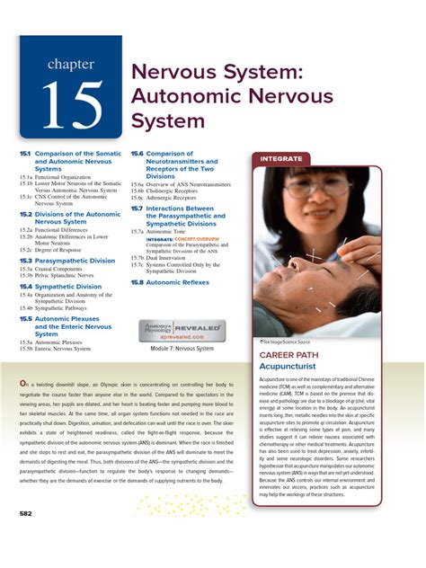 Chapter 15 Autonomic Nervous System Pdf Autonomic Nervous System Motor Neuron