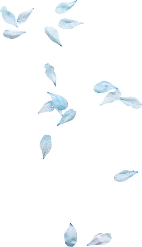 蓝色 花瓣 漂浮元素免抠png图片壁纸