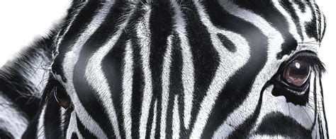 Capitalmind Welcomes Investec As Strategic Majority Shareholder