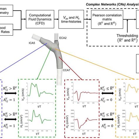 schematic diagram of the integrated computational hemodynamics and