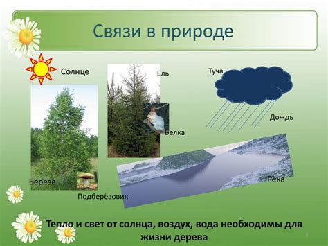 Природа Урок окружающего мира в 3 классе презентация онлайн