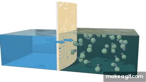 Osmosis Vs Reverse Osmosis Explained Animation On Make A 