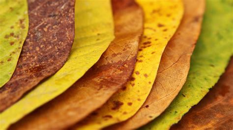 Working With Multiple Layers In Photoshop Seriously Photography