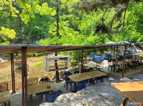 돌담집식당 음식점 정보와 주변 관광 명소 및 근처 맛집 여행 정보