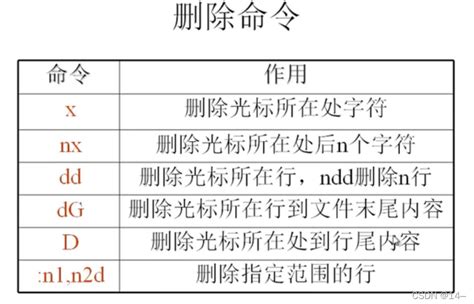 vim编辑器入门指南 csdn博客